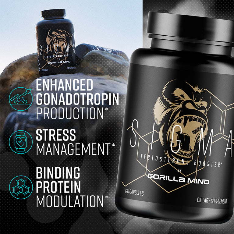 Sigma | Gorilla Mind