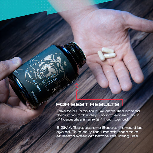 Sigma | Gorilla Mind